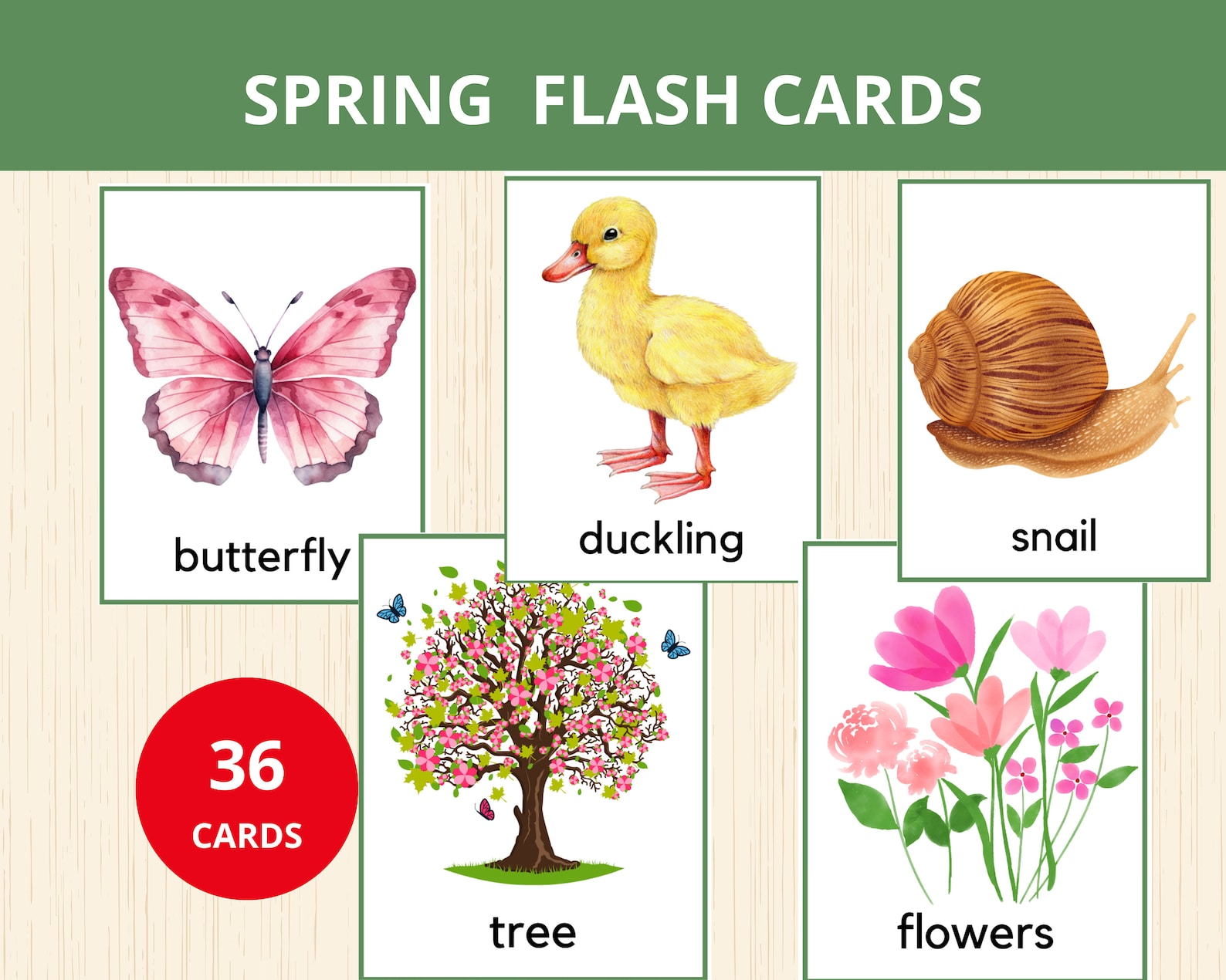 Spring Flashcards, Spring Vocabulary Cards,nature Cards,sensory Bins ...