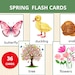 Spring Flashcards, Spring Vocabulary Cards,nature Cards,sensory Bins ...