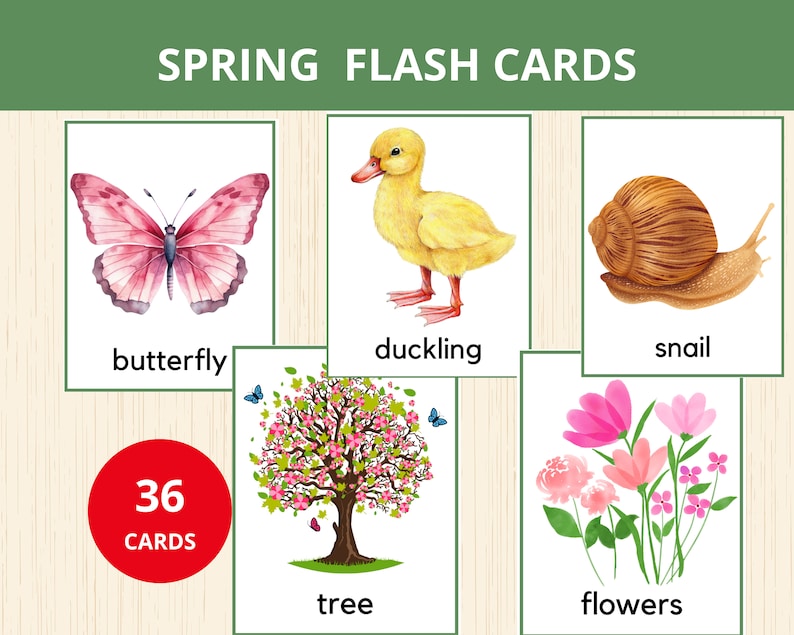 Spring Flashcards, Spring Vocabulary Cards,nature Cards,sensory Bins ...