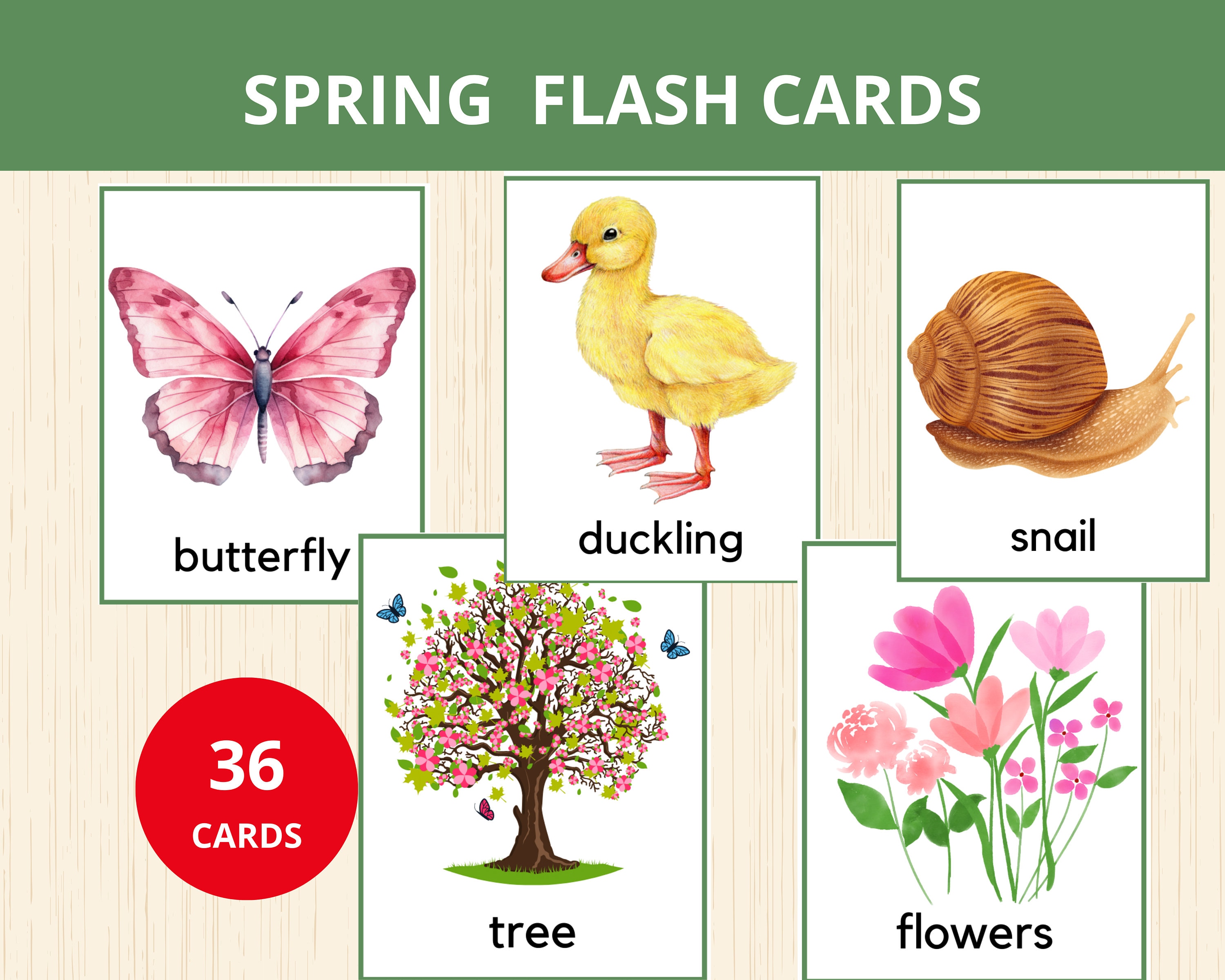 Spring Flashcards, Spring Vocabulary Cards,nature Cards,sensory Bins ...