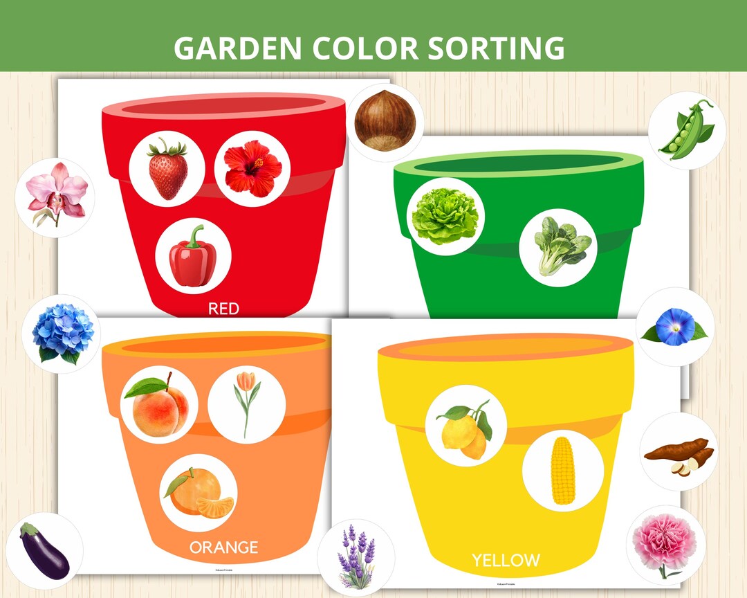 Garden Color Sorting,garden Preschool Activity,kindergarten Color ...