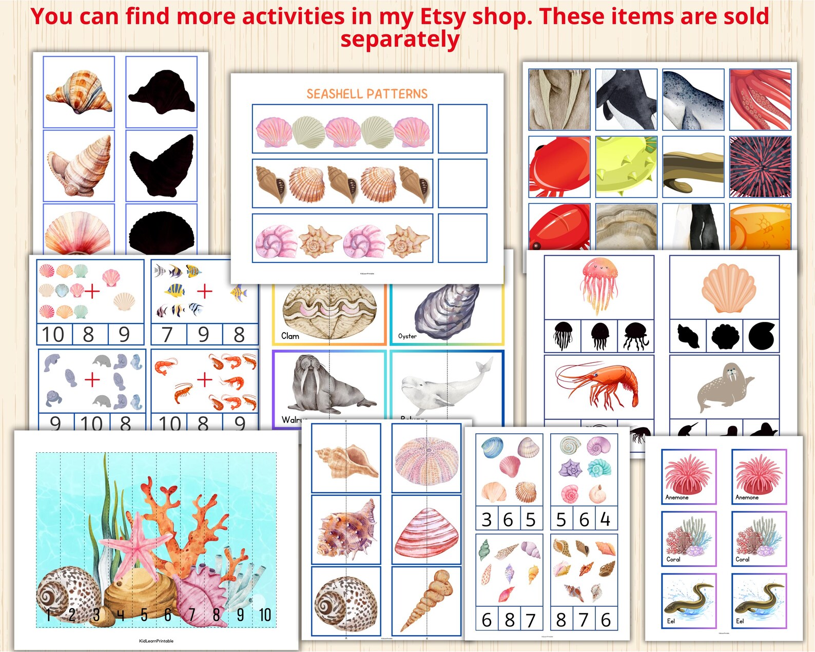 Seashell Count and Clip Card,summer Count & Clip Card,shells Counting ...