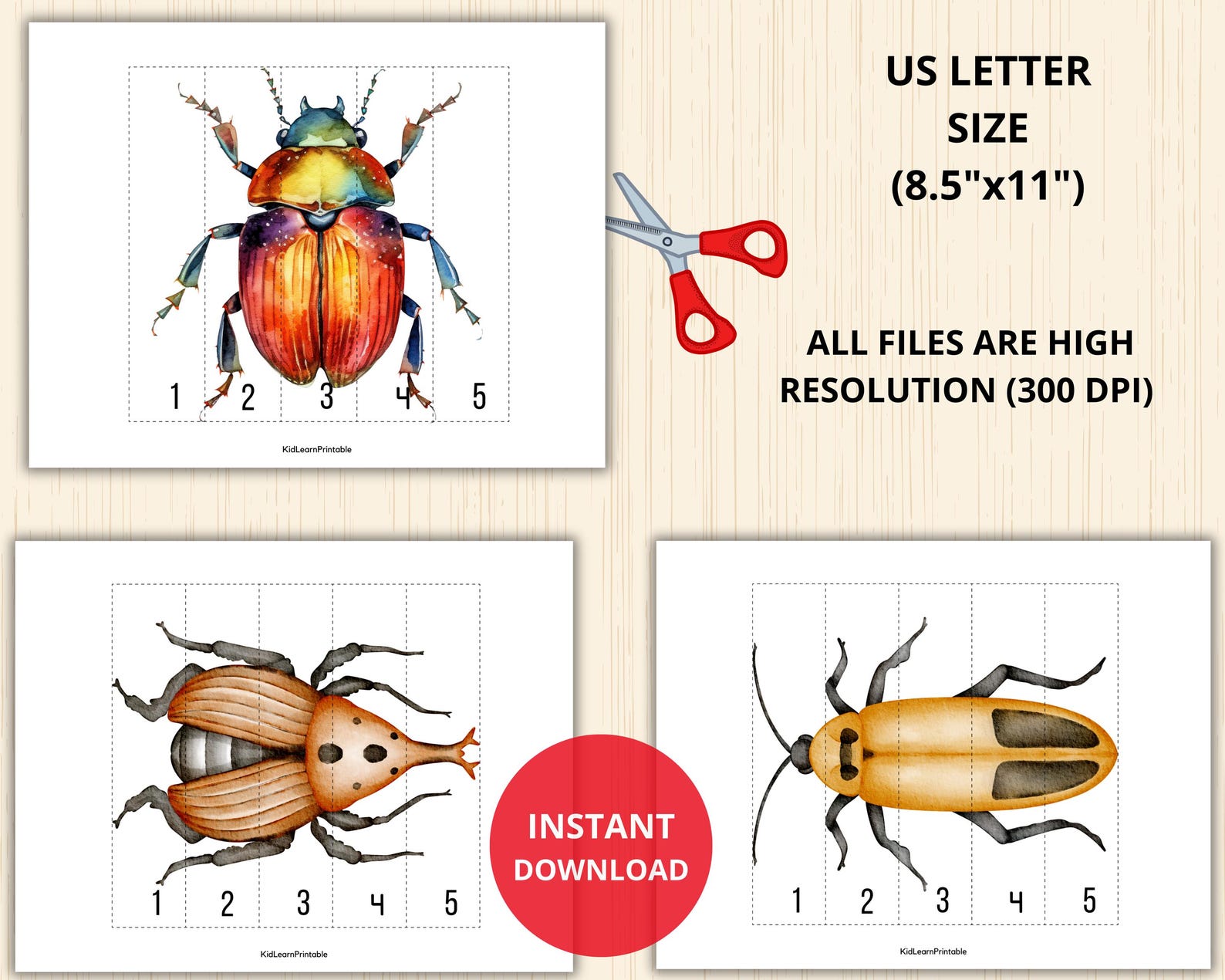Beetle Number Puzzle,beetle Matching Activity,beetle Symmetry Puzzle ...