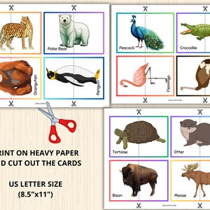 Zoo Animals Matching Game,zoo Animals Puzzle Pairs,puzzle Symmetry ...