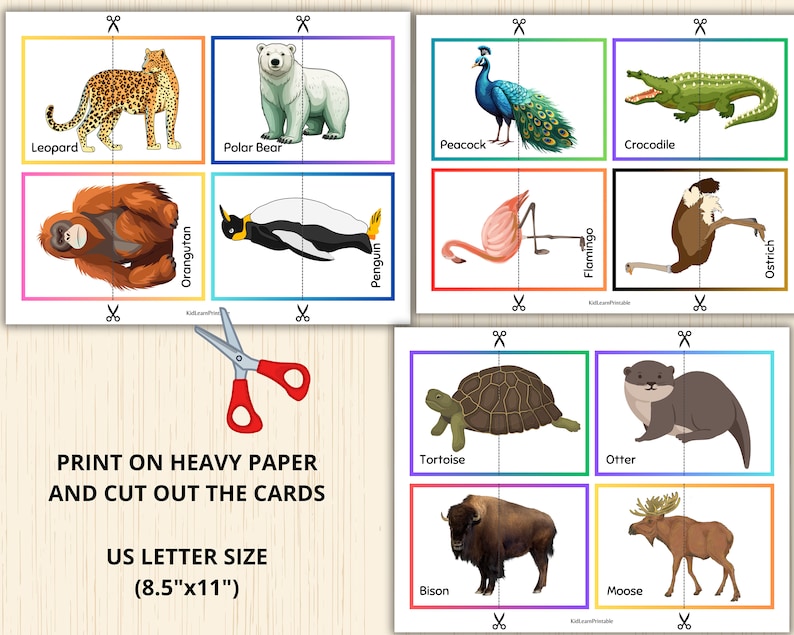 Zoo Animals Matching Game,zoo Animals Puzzle Pairs,puzzle Symmetry ...
