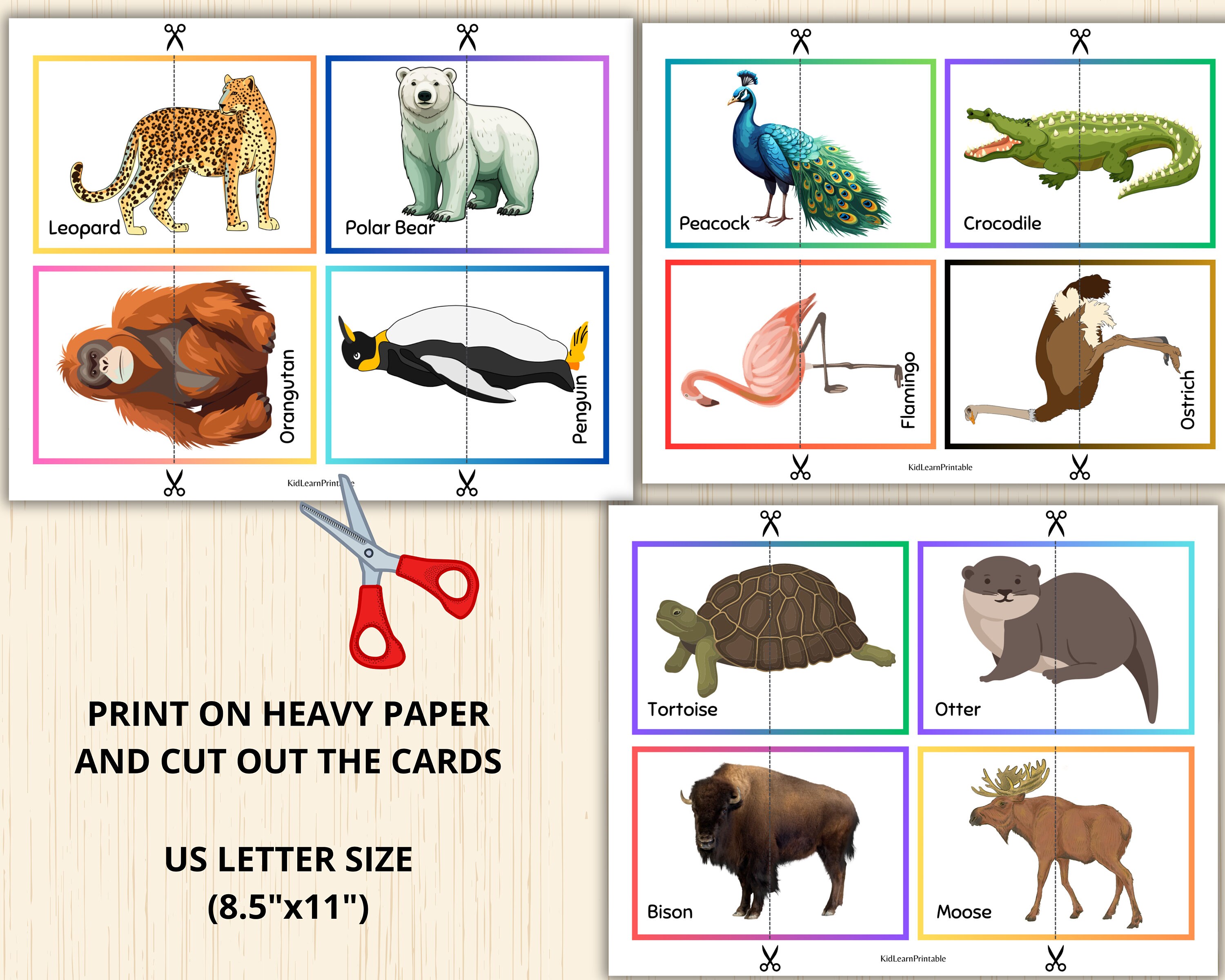 Zoo Animals Matching Game,zoo Animals Puzzle Pairs,puzzle Symmetry ...