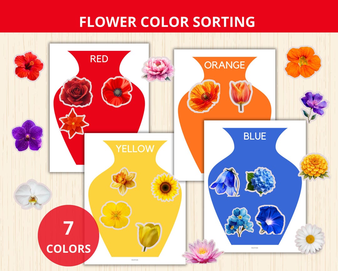 Flower Color Sorting,flower Sorting Game,flower Preschool Activity ...