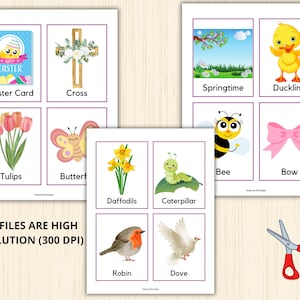 Easter Montessori Flashcards for Kids Easter Flash Cards Spring ...