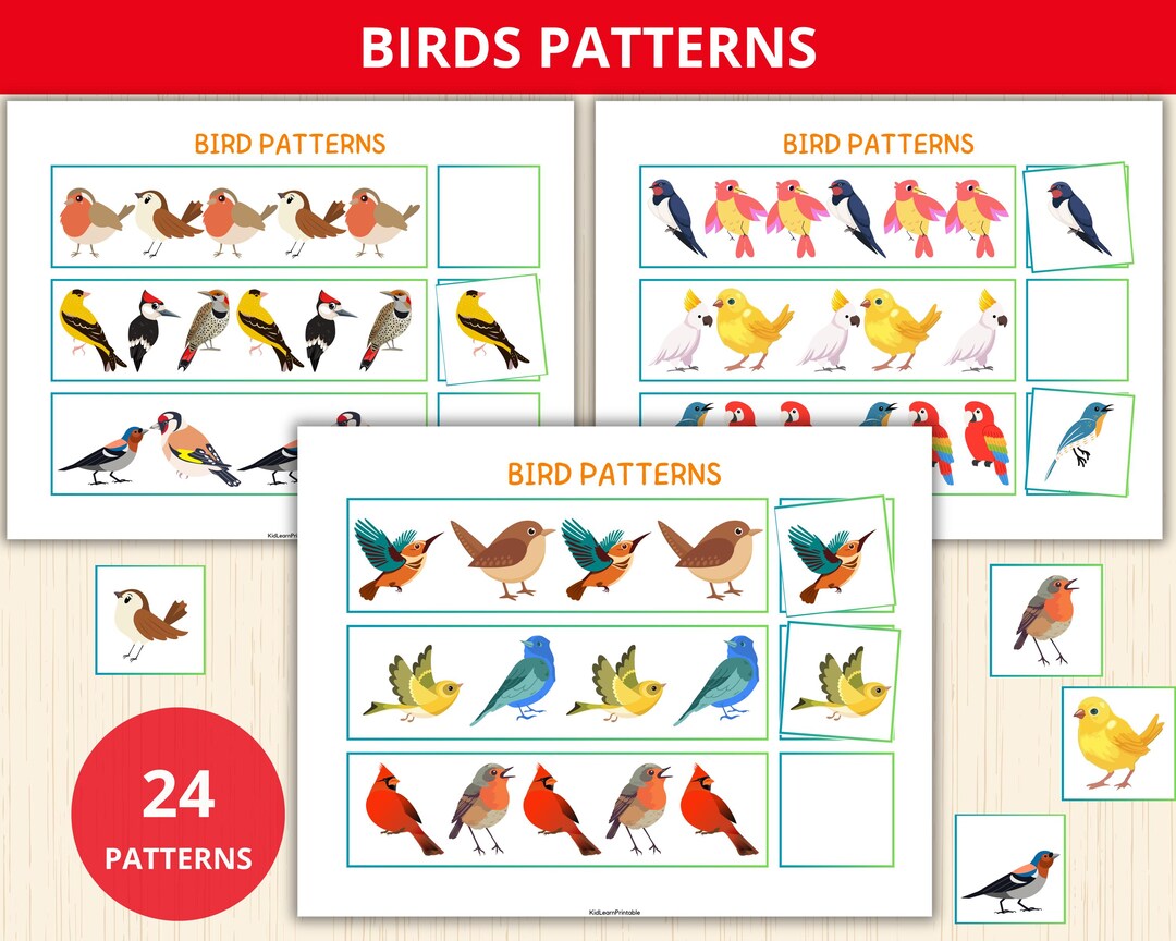 Bird Patterns,backyard Birds Activity,birds What Comes Next,pattern ...