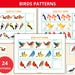 Bird Patterns,backyard Birds Activity,birds What Comes Next,pattern ...