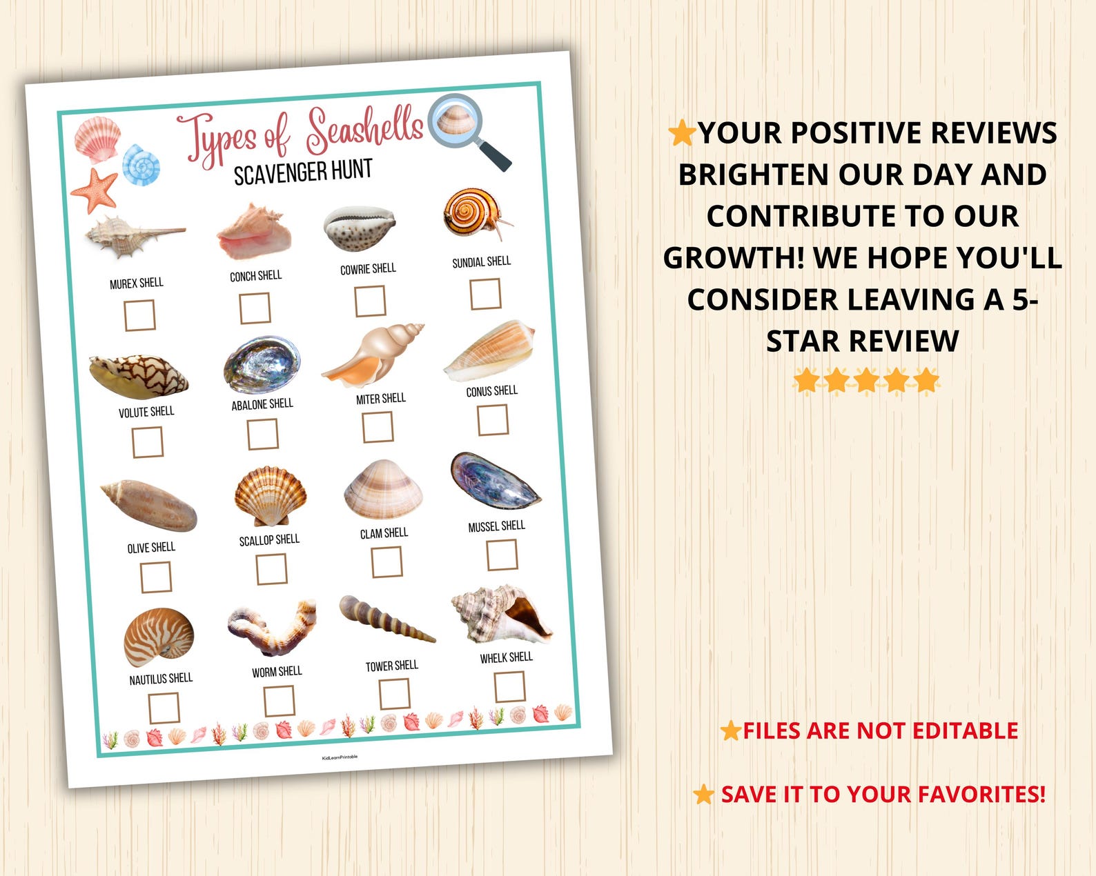 Seashell Scavenger Hunt,ocean Treasure Hunt,ocean Scavenger Hunt ...