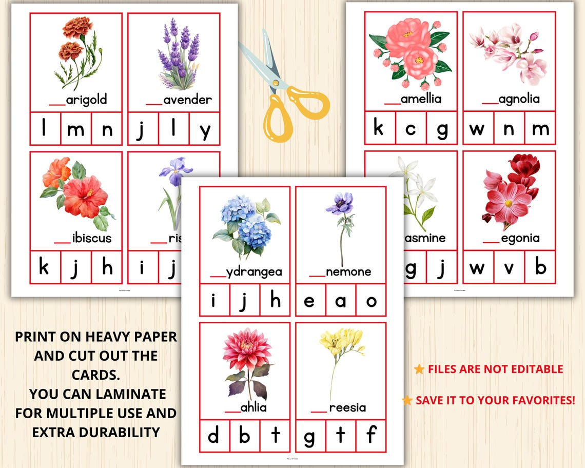 Flowers Beginning Sound,nature Letter Sound,flower Vocabulary,flower ...