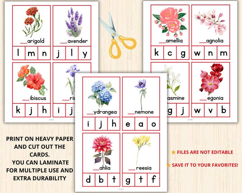 Flowers Beginning Sound,nature Letter Sound,flower Vocabulary,flower ...