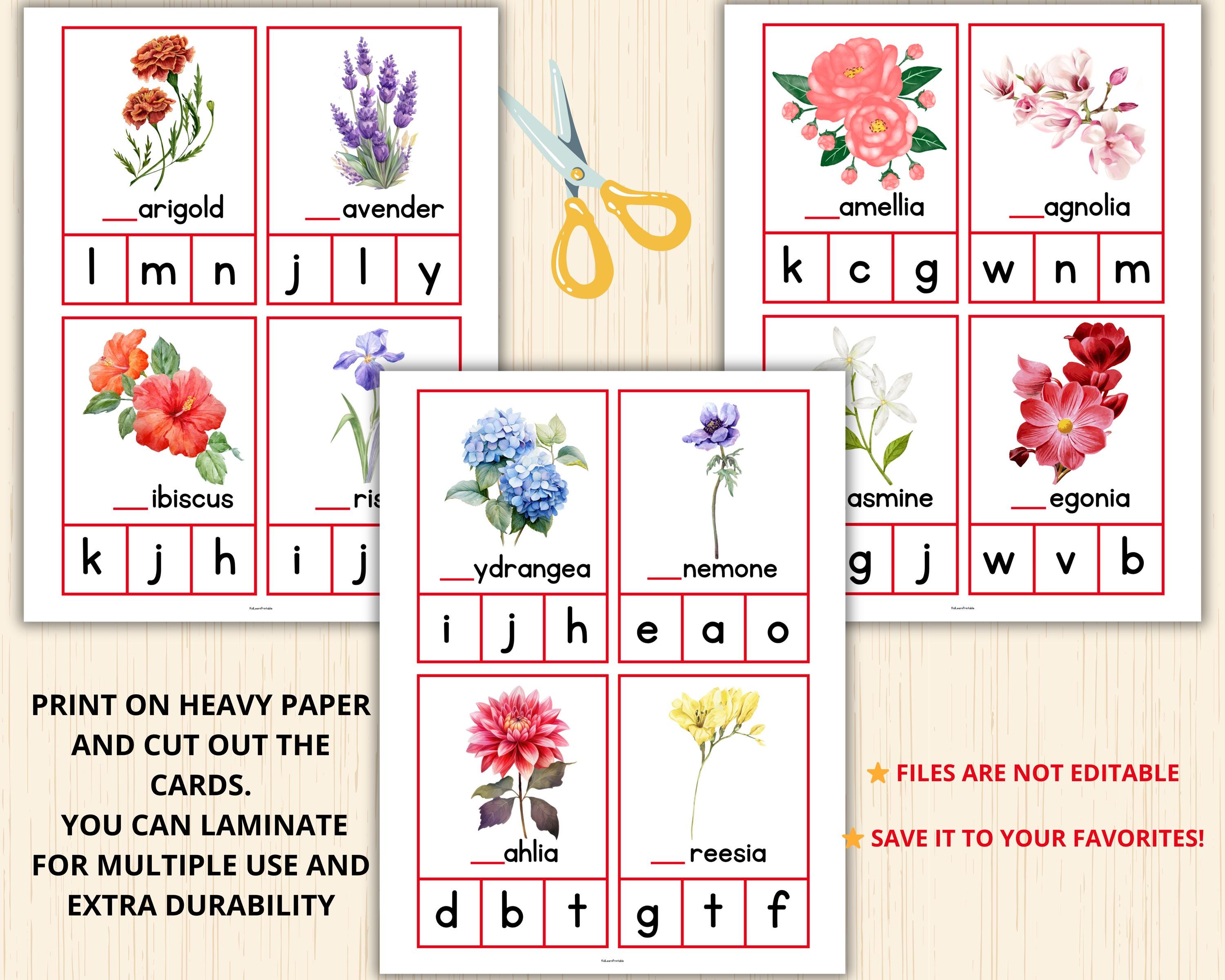 Flowers Beginning Sound,nature Letter Sound,flower Vocabulary,flower ...