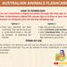 Australian Animal Flashcards,australia Flash Cards,australia Montessori ...