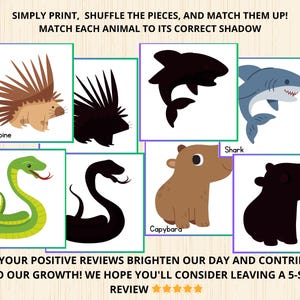 Animal Shadow Matching ,animal Puzzles,montessori Animal Shadow Match ...