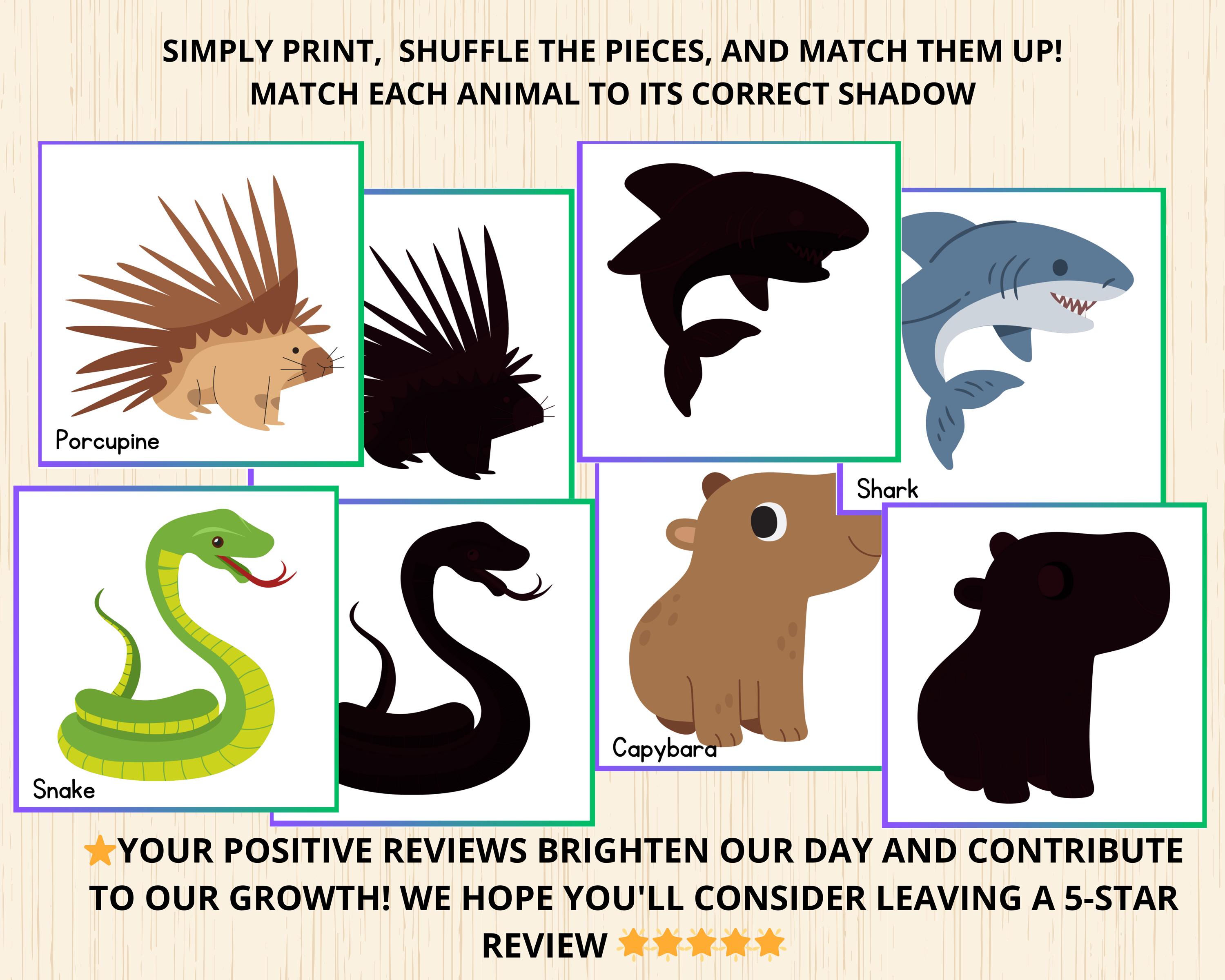 Animal Shadow Matching ,animal Puzzles,montessori Animal Shadow Match ...