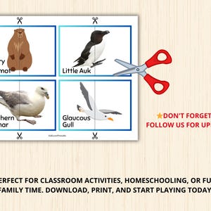 Arctic Animal Matching,arctic Animal Puzzle,winter Animal Montessori ...