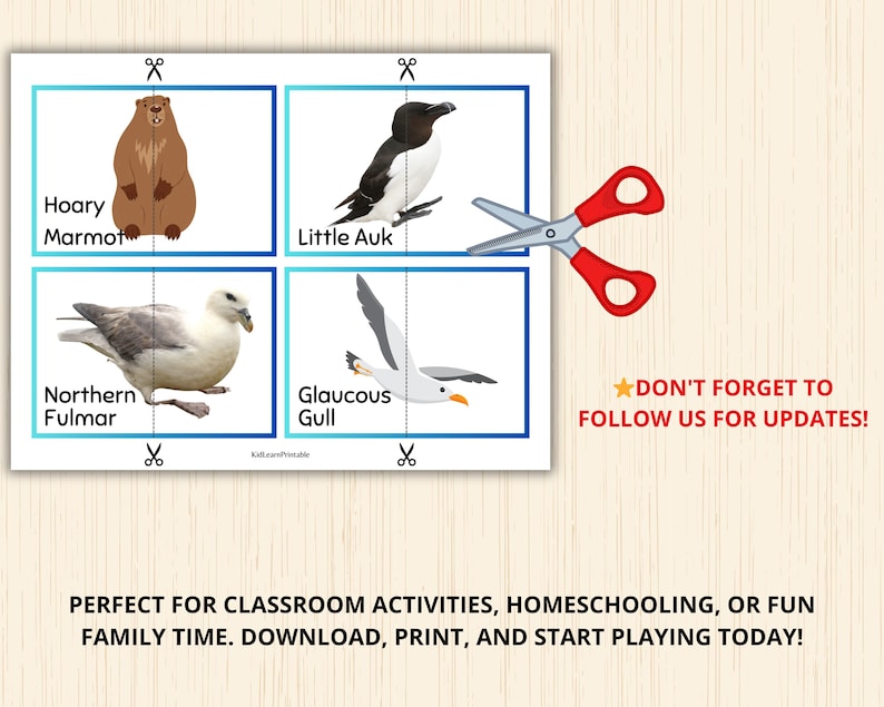 Arctic Animal Matching,arctic Animal Puzzle,winter Animal Montessori ...