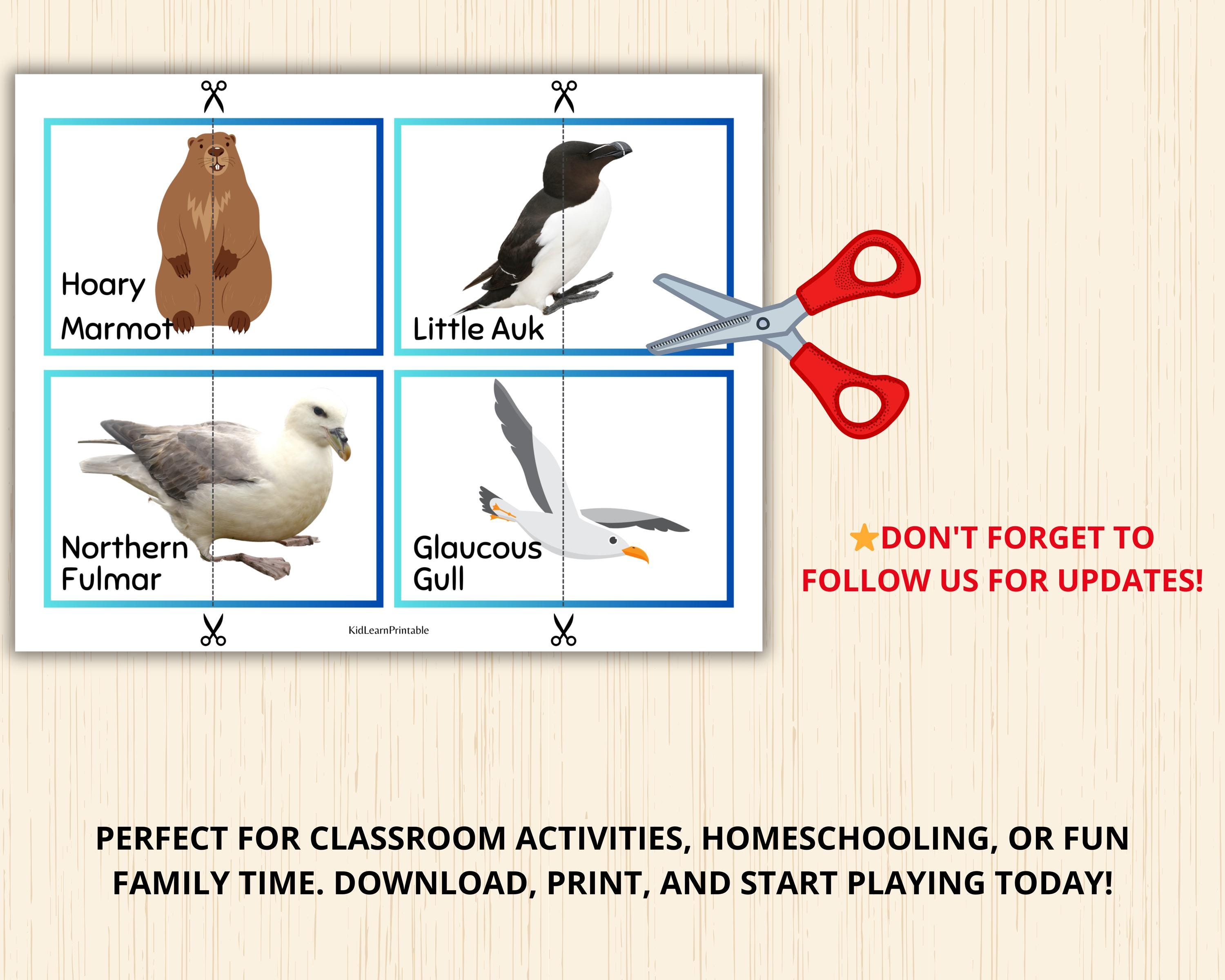 Arctic Animal Matching,arctic Animal Puzzle,winter Animal Montessori ...