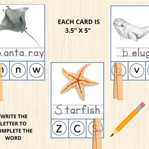 Ocean Animal Phonics Clip Cards, Beginning Sound Activity, Sea Animals ...