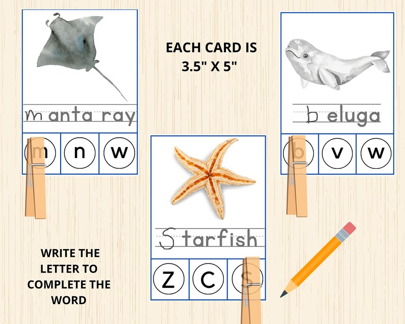 Ocean Animal Phonics Clip Cards, Beginning Sound Activity, Sea Animals ...