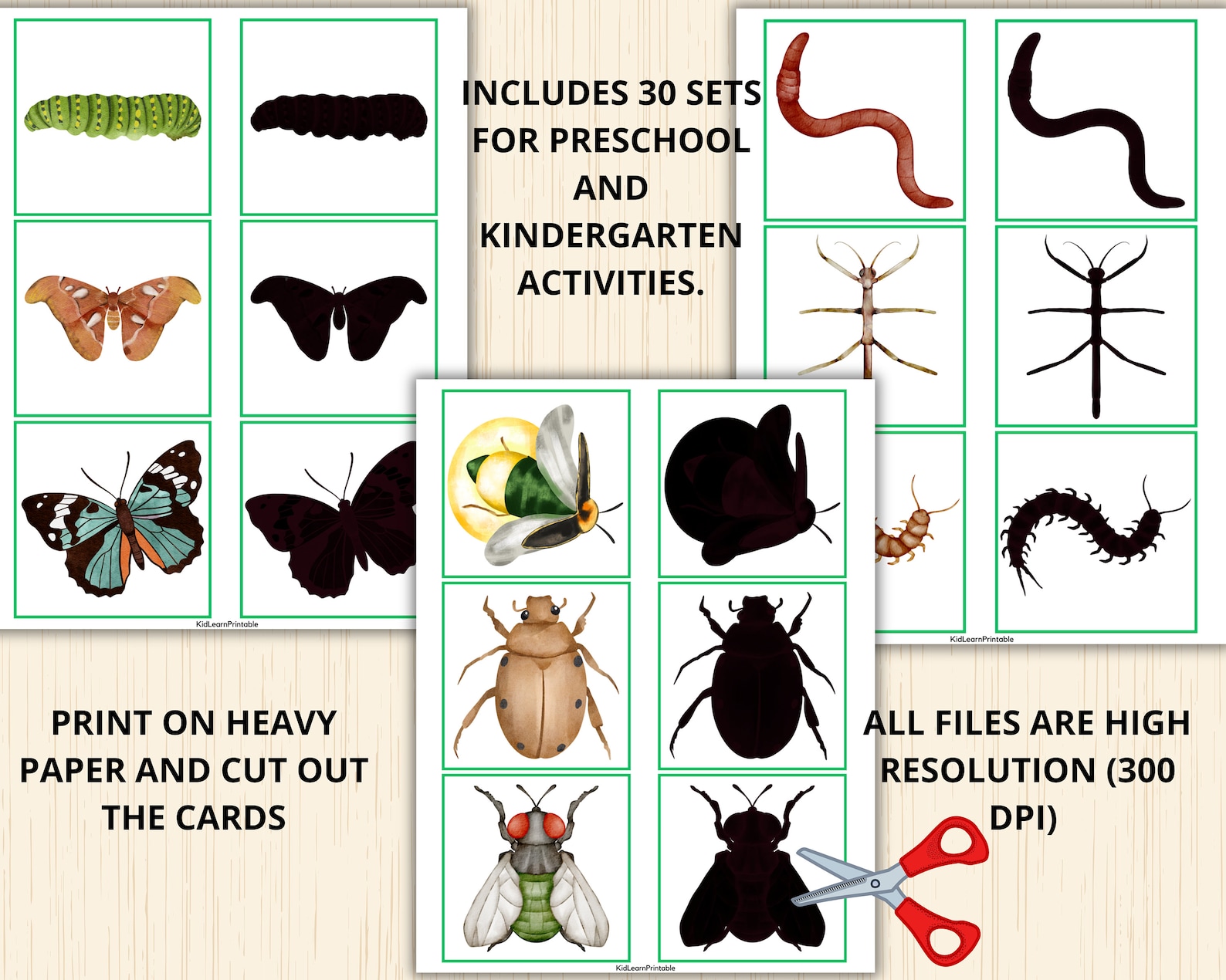 Insect Shadow Matching Cards,bug Shadow Matching, Preschool Insects ...