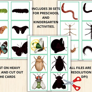 Insect Shadow Matching Cards,bug Shadow Matching, Preschool Insects ...