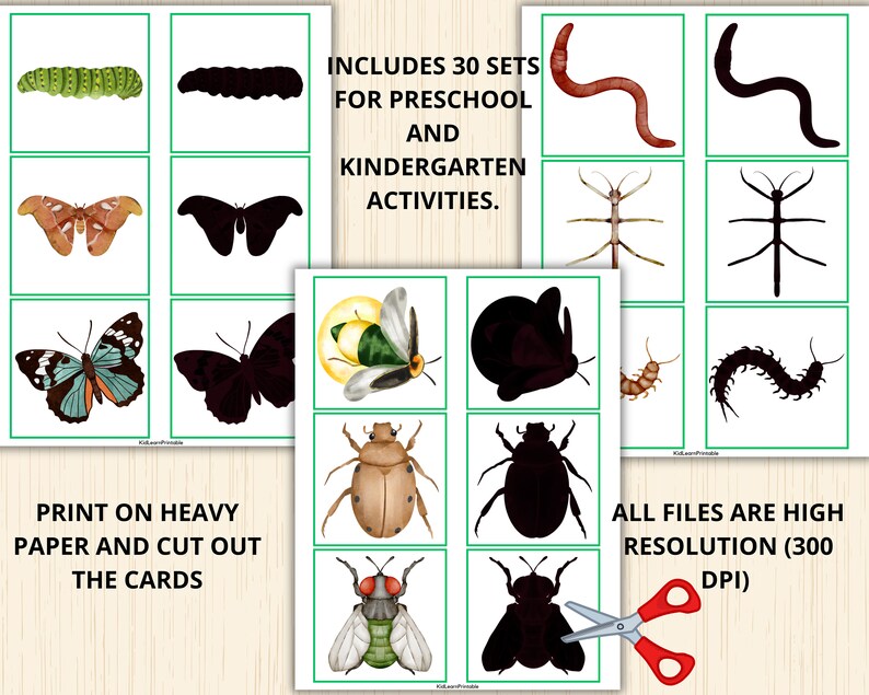 Insect Shadow Matching Cards,bug Shadow Matching, Preschool Insects ...