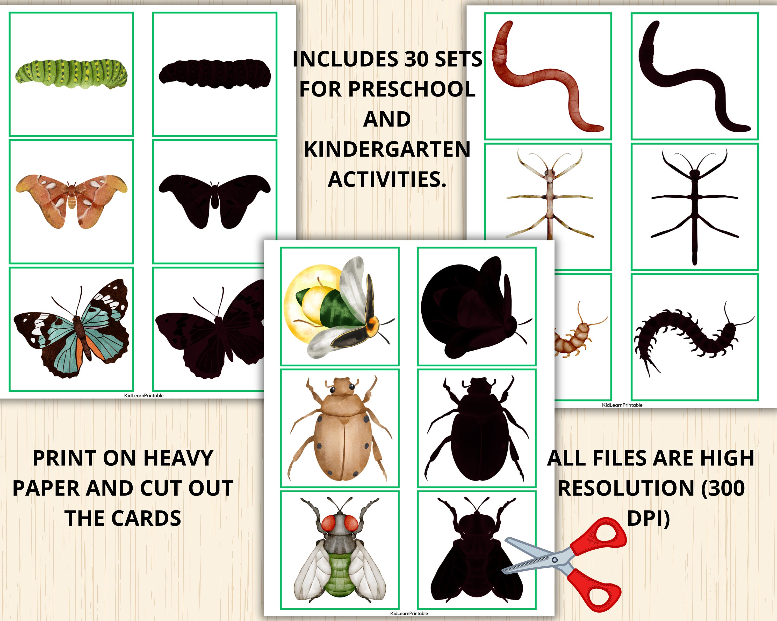 Insect Shadow Matching Cards,bug Shadow Matching, Preschool Insects ...