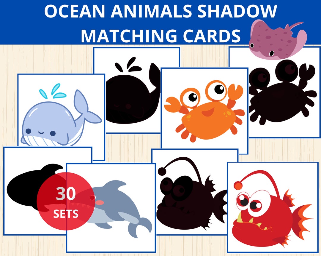 Ocean Animals Shadow Matching Cards,sea Animals Shadow,sea Animals ...