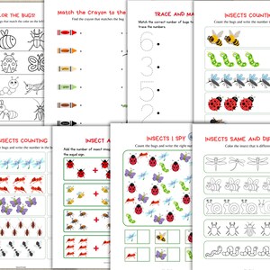 Insects Activity Book,insect Bundle,insect Unit Study,bugs Activity ...