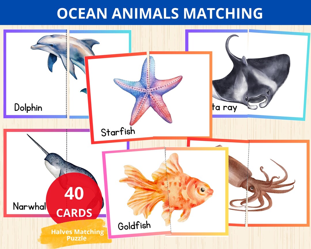 Ocean Animal Matching Game,sea Animals Preschool Activity,ocean ...