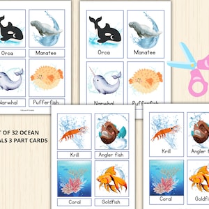 Ocean Montessori 3 Part Cards,sea Animals Vocabulary Cards,ocean Animal ...