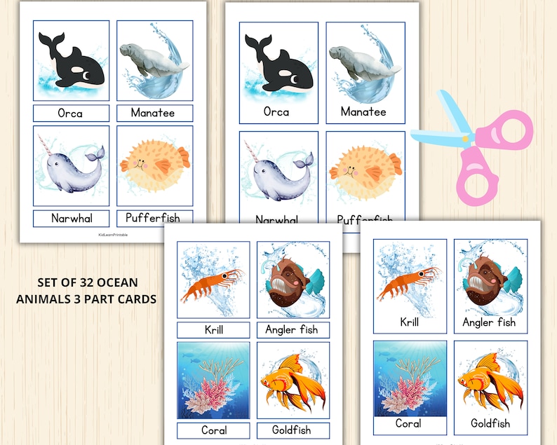 Ocean Montessori 3 Part Cards,sea Animals Vocabulary Cards,ocean Animal ...