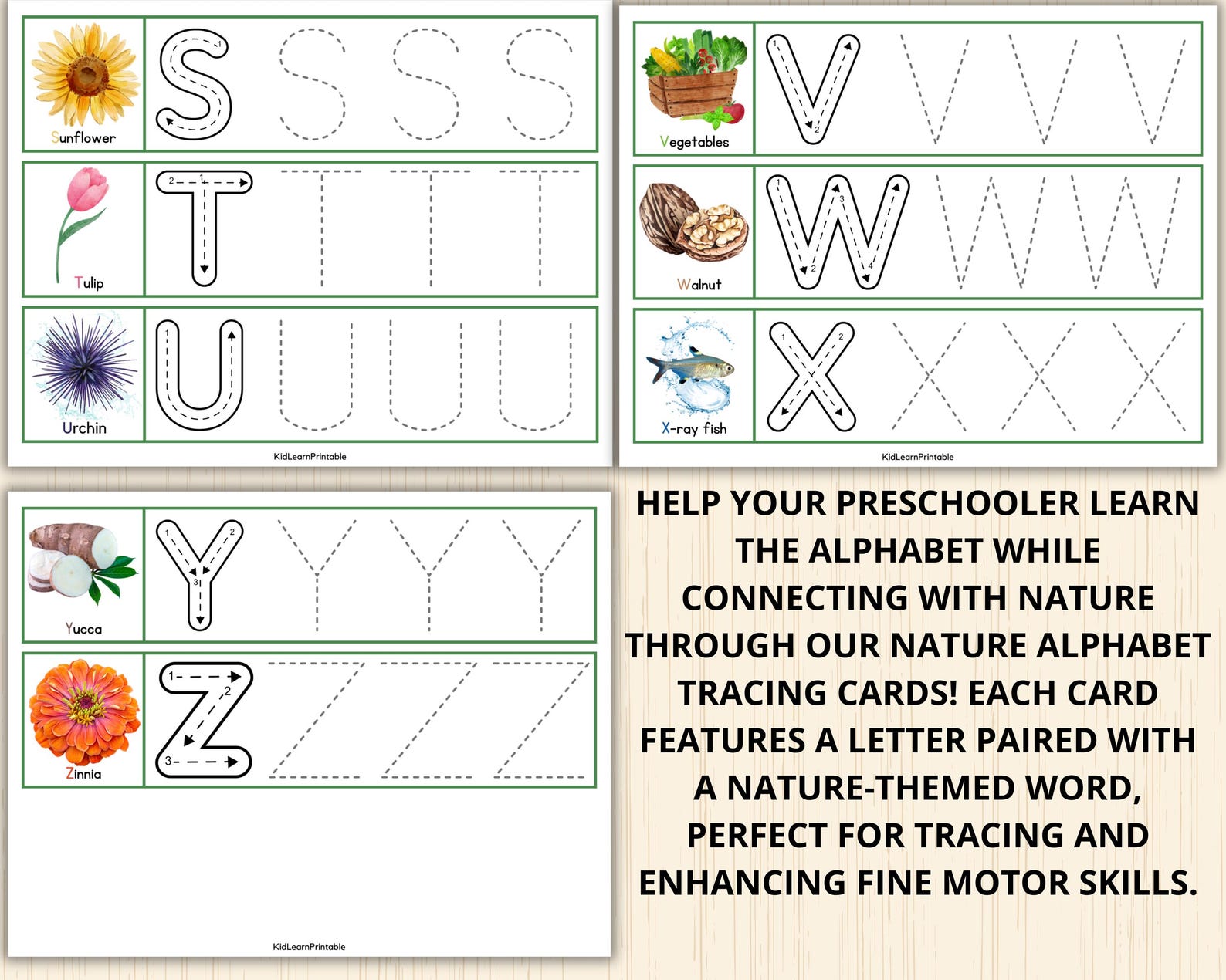 Nature Alphabet Cards Tracing Letters,nature Alphabet Cards,letter ...