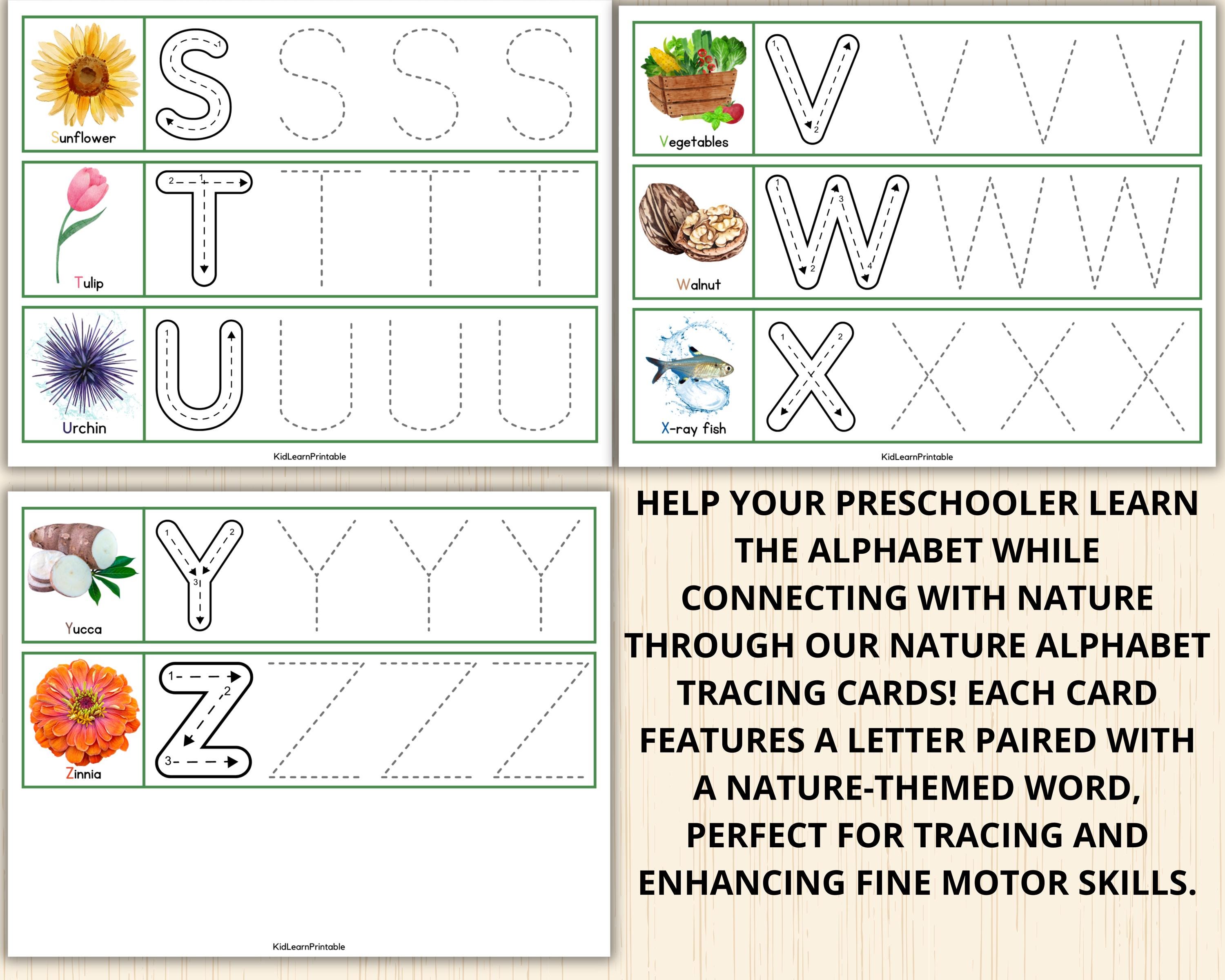 Nature Alphabet Cards Tracing Letters,nature Alphabet Cards,letter ...