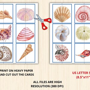 Seashell Matching Activity,seashell Matching Game,ocean Animal Puzzles ...