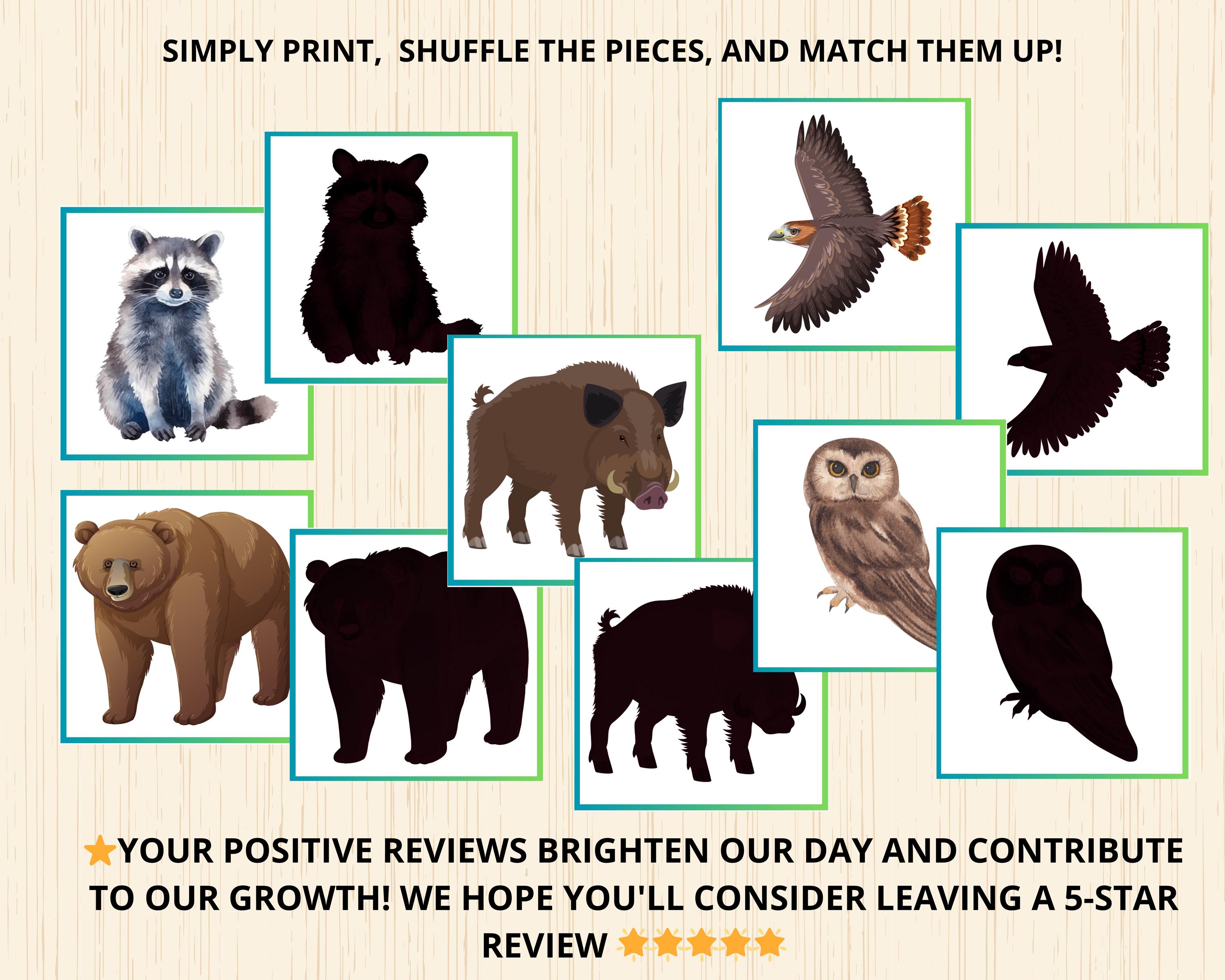 Woodland Animals Shadow Matching,forest Animals Cards,preschool ...