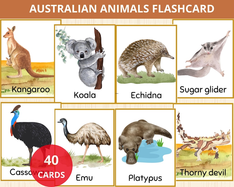 Australian Animal Flashcards,australia Flash Cards,australia Montessori ...