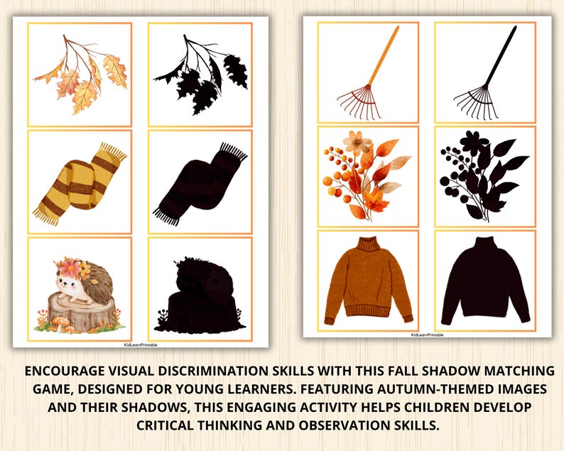 Autumn Shadow Matching Game,fall Montessori,fall Activity Preschool ...