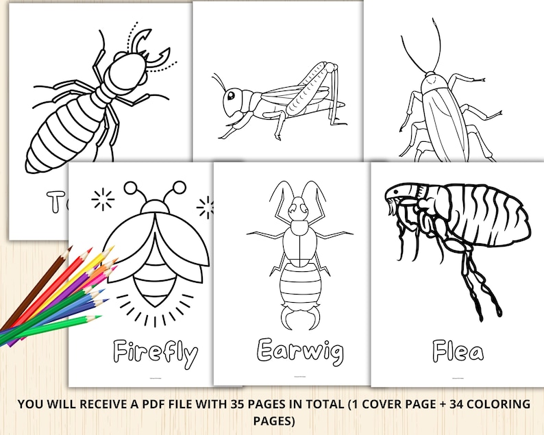 Insect Coloring Pages,bugs Coloring Sheet,insect Coloring Book,spring ...