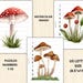 Preschool Autumn,mushroom Puzzle Number Sequence,mushroom Number ...