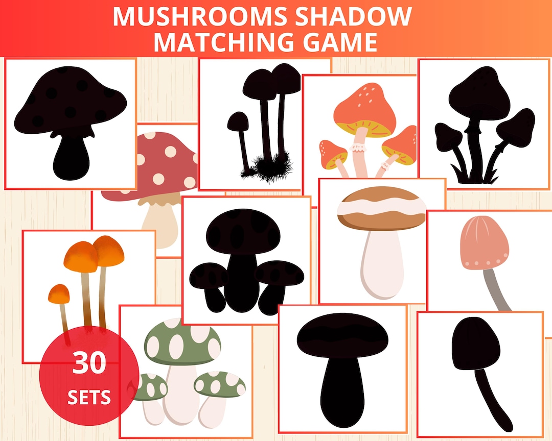 Mushrooms Shadow Matching,mushroom Montessori,fall Activity Kids,fall ...