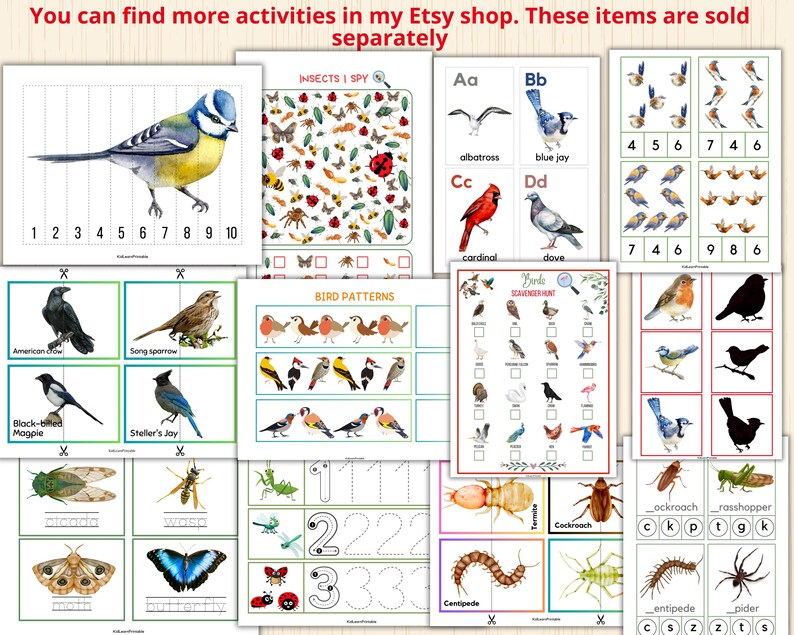 North American Backyard Birds,bird Matching Cards,birds Puzzle Pairs ...