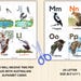 Australian Animals Alphabet,australian Alphabet Posters,abc Alphabet ...