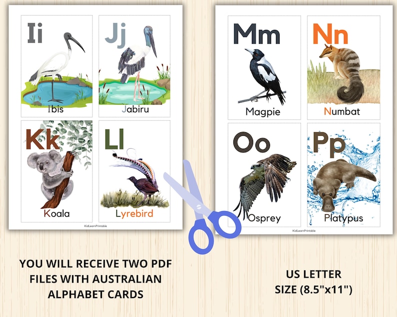 Australian Animals Alphabet,australian Alphabet Posters,abc Alphabet ...