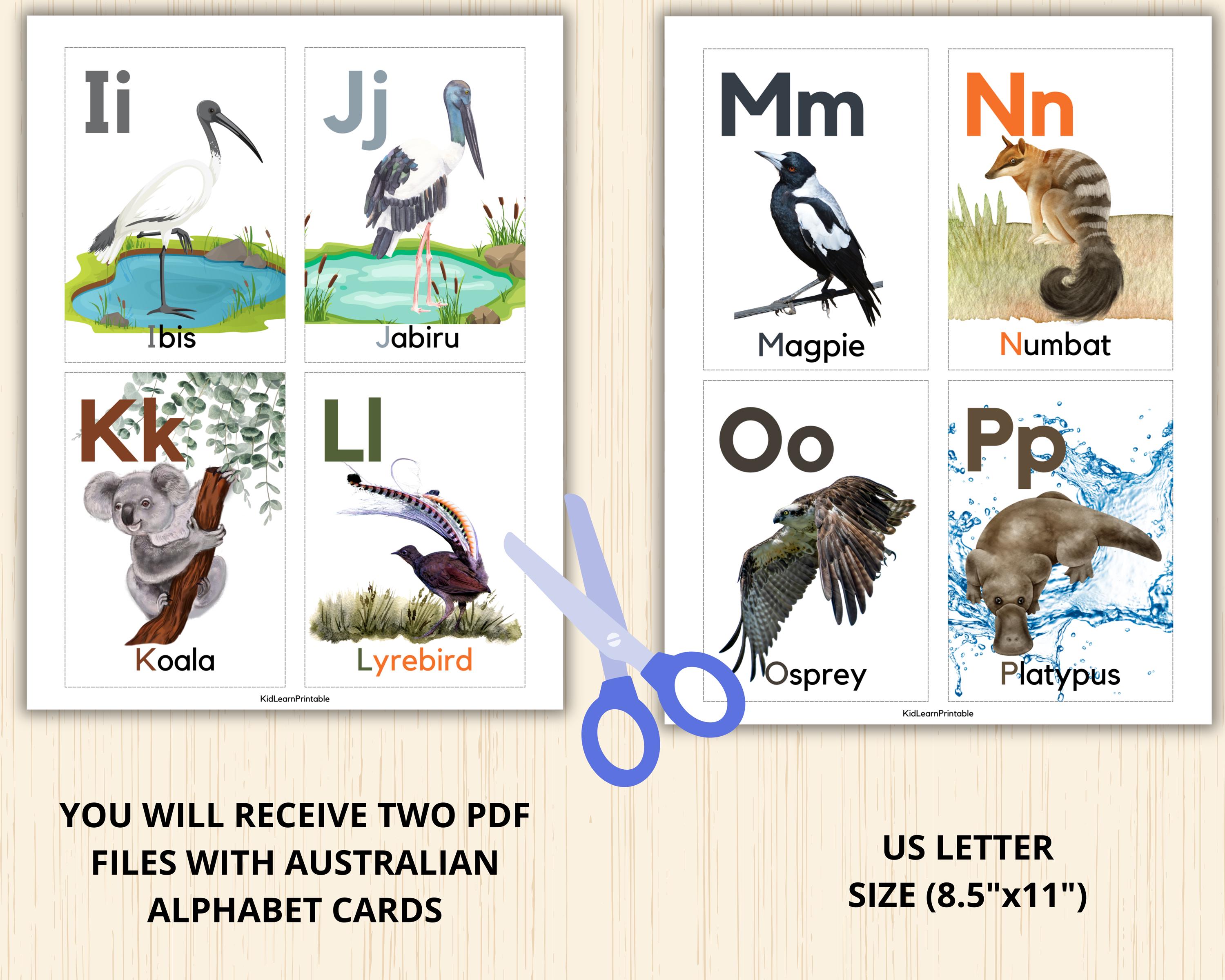 Australian Animals Alphabet,australian Alphabet Posters,abc Alphabet ...