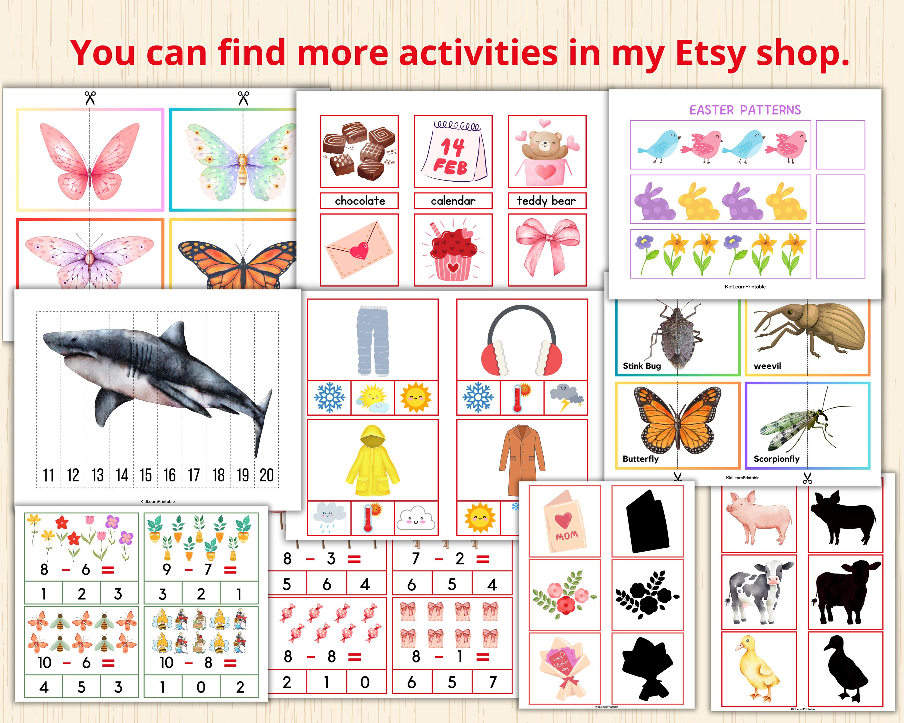Garden Shadow Matching Cards,garden Flashcards, Spring Activity ...