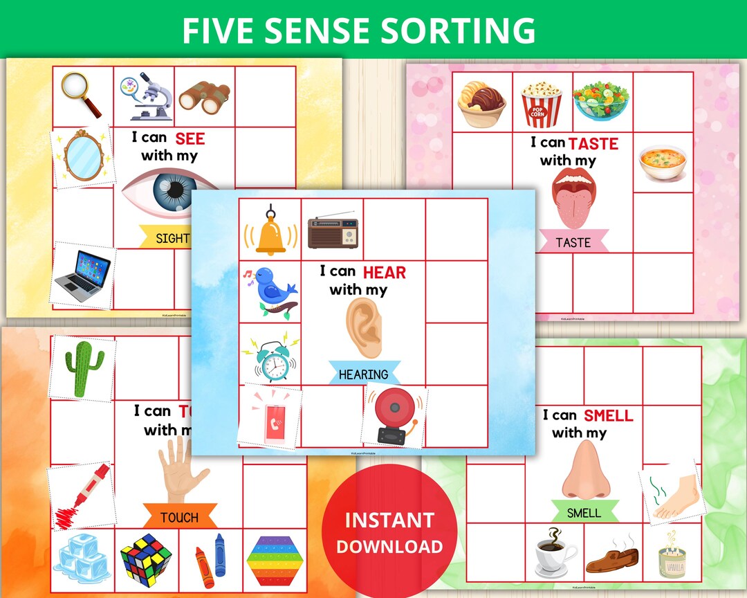Five Senses Sorting Activity,5 Senses Sorting,busy Books Activity,5 ...